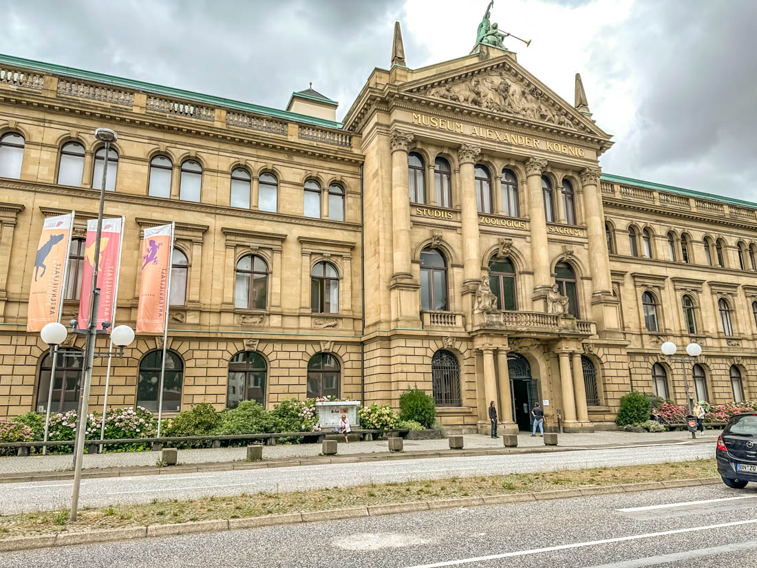 Bonn Sehenswürdigkeiten: 7 besondere Highlights für einen Tag